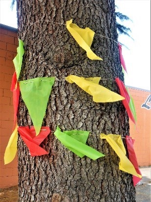 The Value of a Tree – Burke Mountain Naturalists